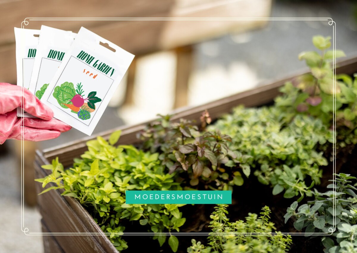 De moestuinbak vullen