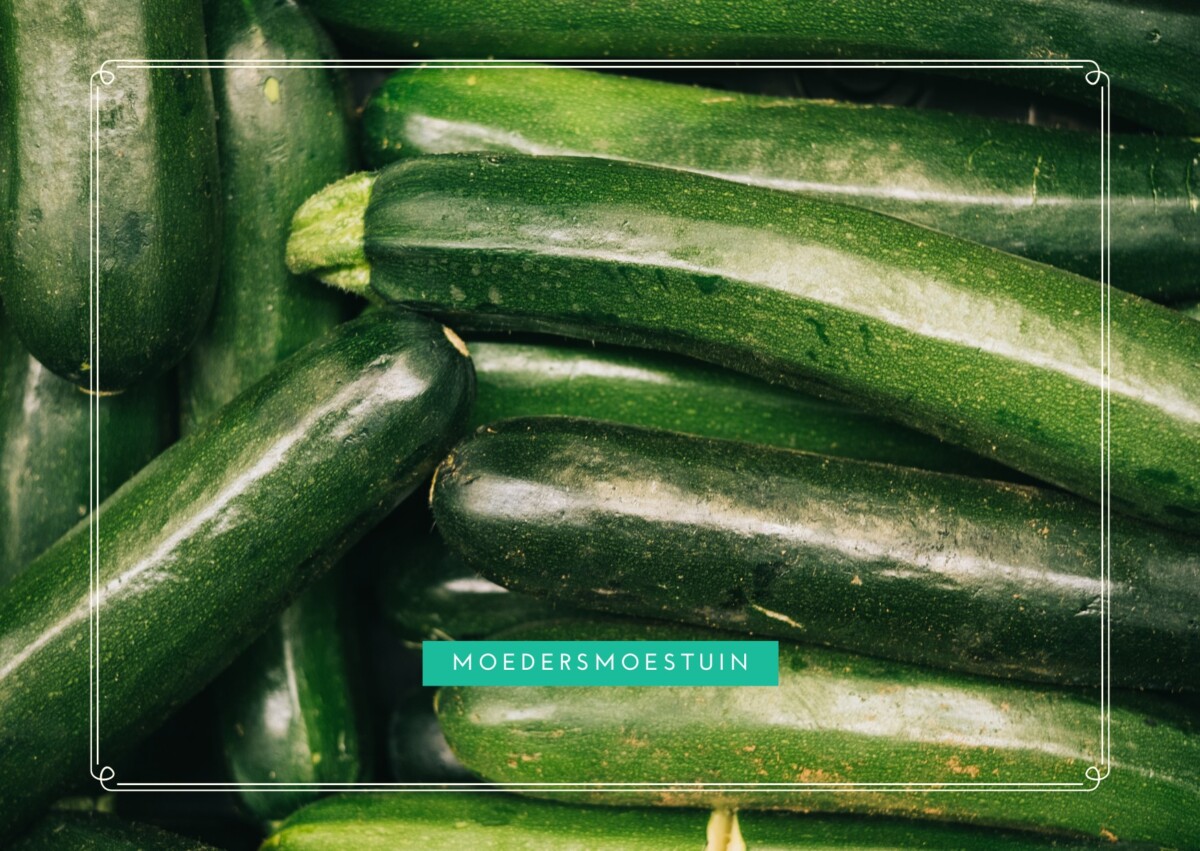 Overschot aan courgettes: Tips voor de laatste oogst